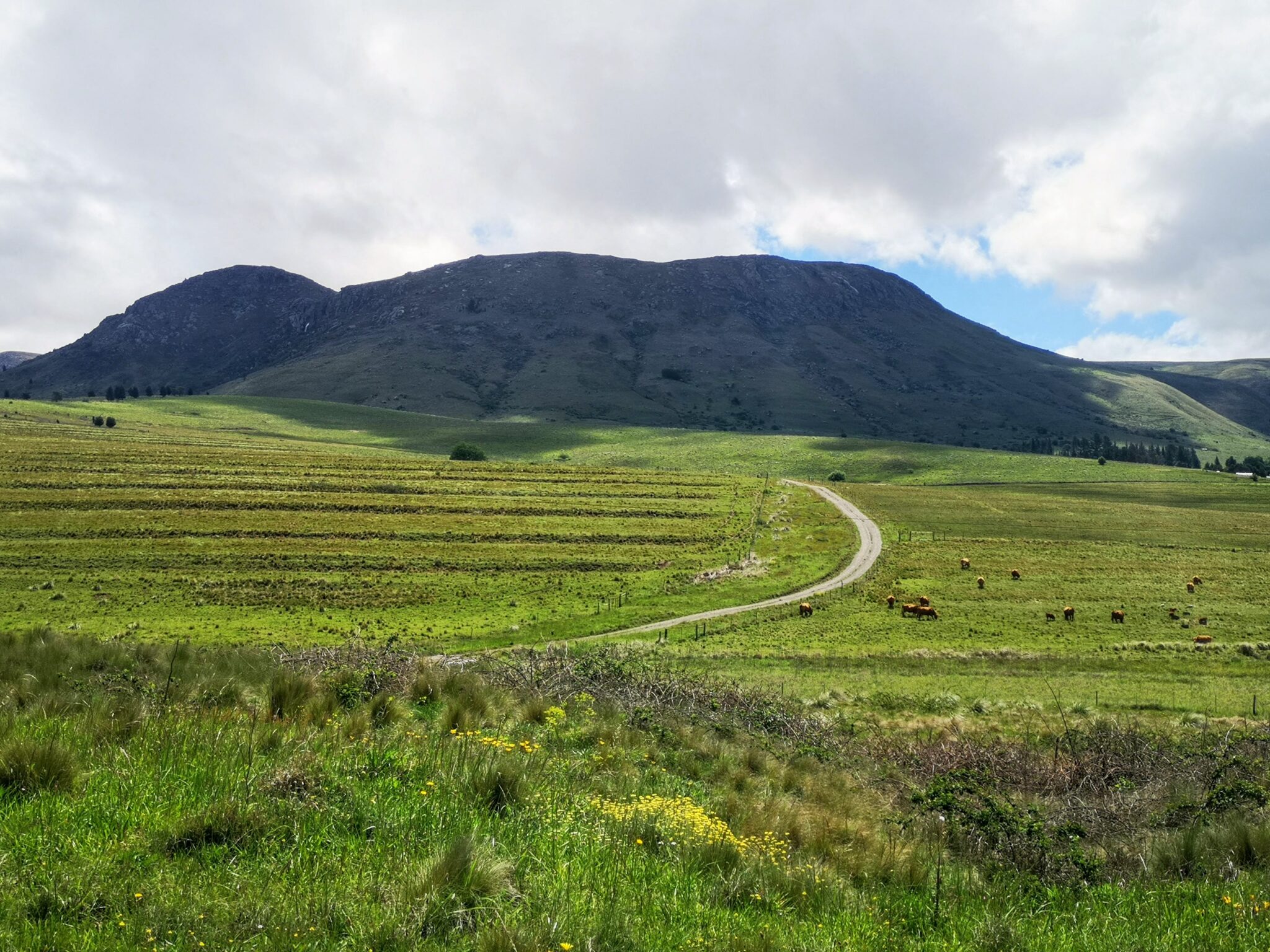 The back gravel road from Cathcart to Hogsback – Visit Hogsback