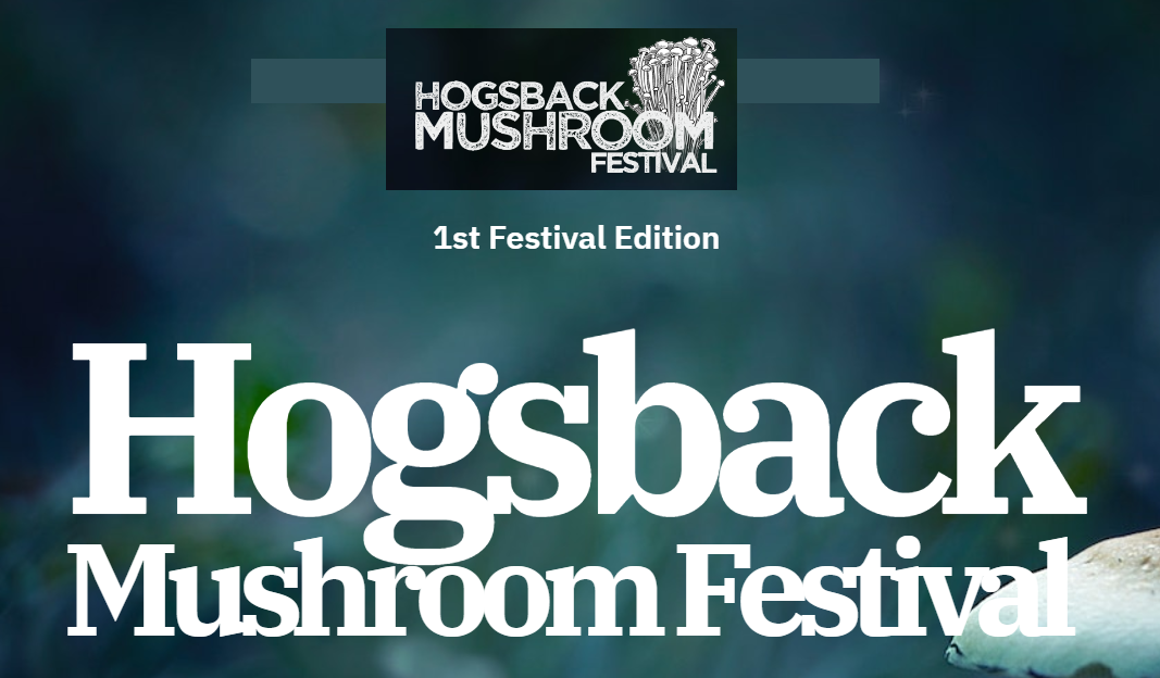 You are invited to our very first Hogsback Mushroom Festival – Visit ...
