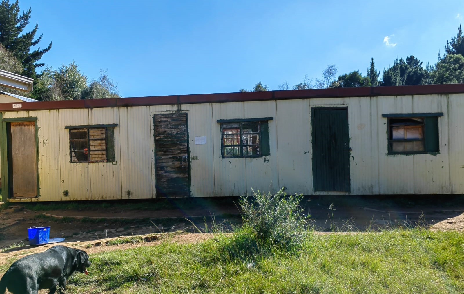Crabbush School gets a Facelift! – Visit Hogsback