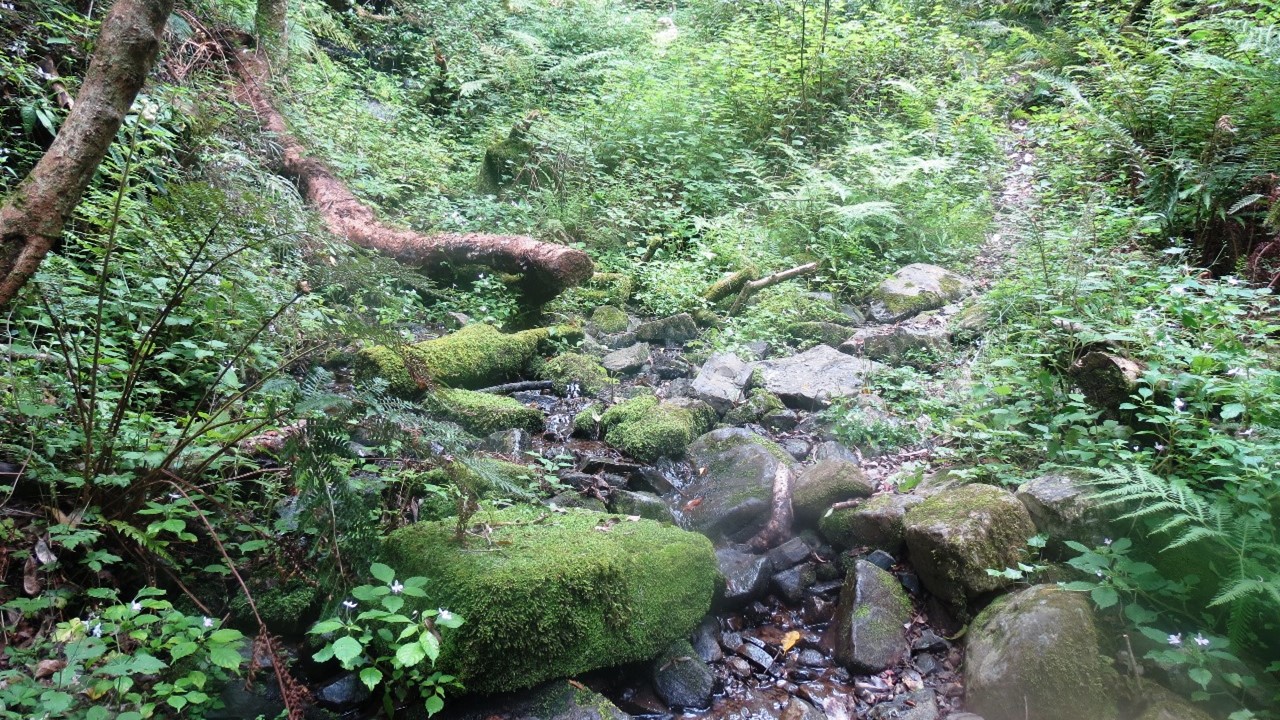 WALKING & HIKING IN & AROUND HOGSBACK – Visit Hogsback